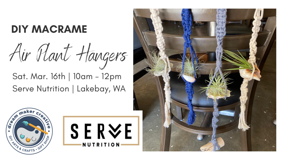 DIY Air Plant Hangers - Dream Maker Creative