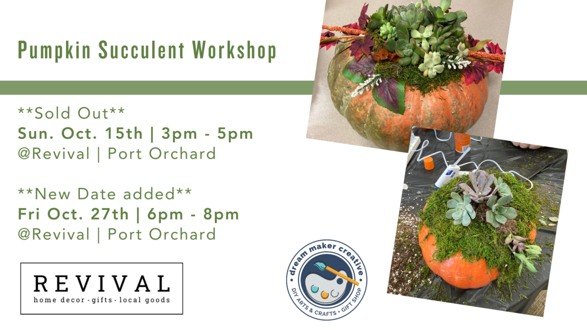 Pumpkin Succulent Workshop - Dream Maker Creative